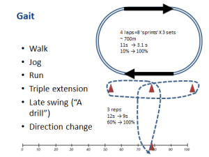 Hamstring Rehabilitation: Criteria based progression protocol and ...