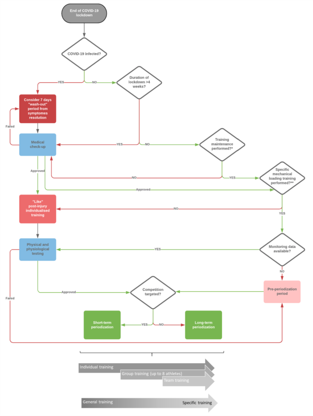 Healthy return to performance in elite athletes and para-athletes after ...