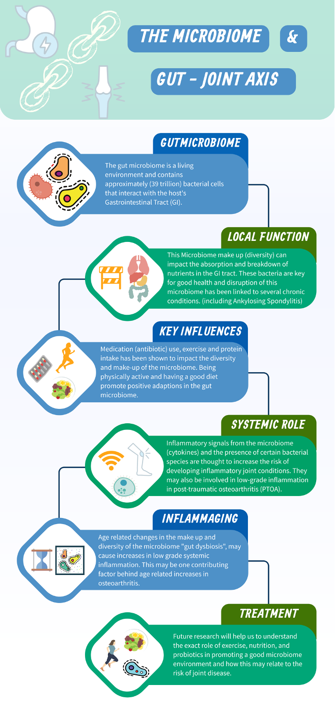Food or Fiction: the gut-joint axis and the athlete - BJSM blog ...