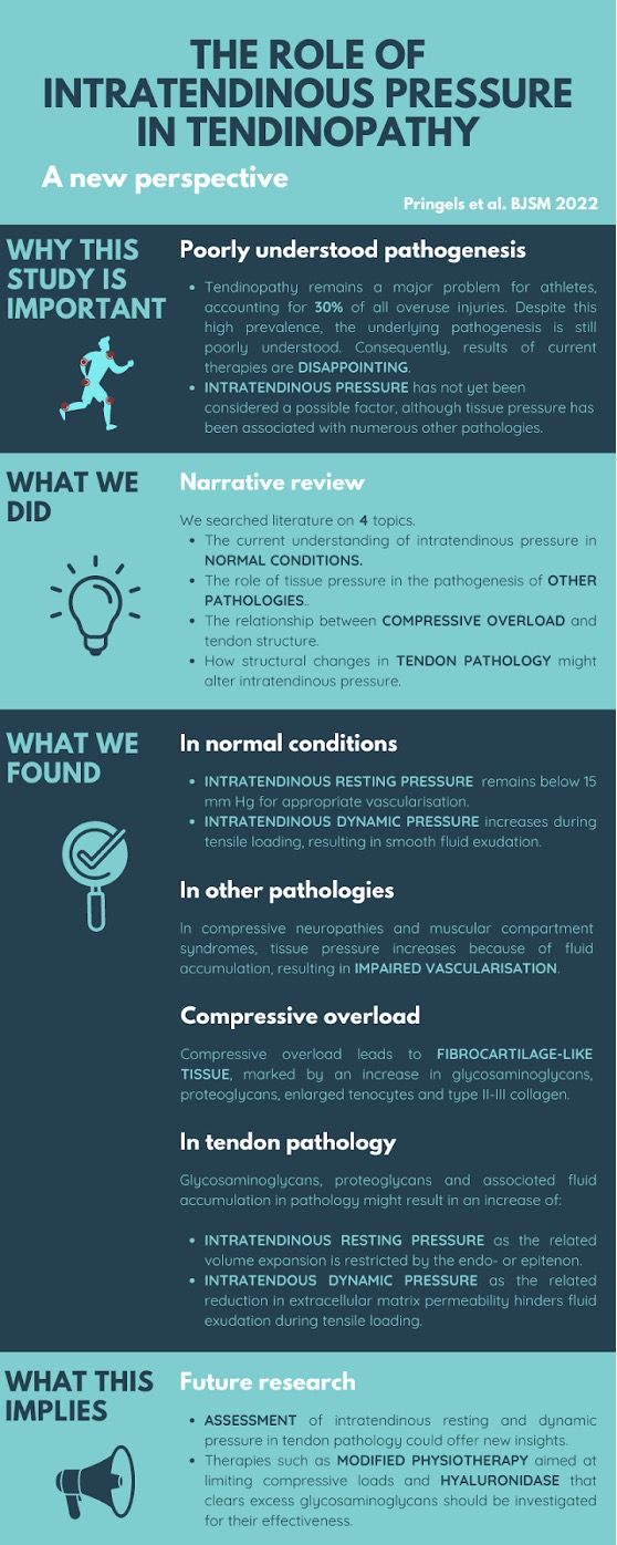 The overlooked role of intratendinous pressure in tendinopathy: A new ...