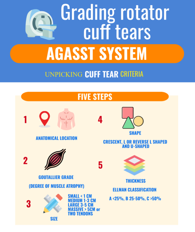 The MSK playbook: Rotator cuff tears and tendinopathy. - BJSM blog ...