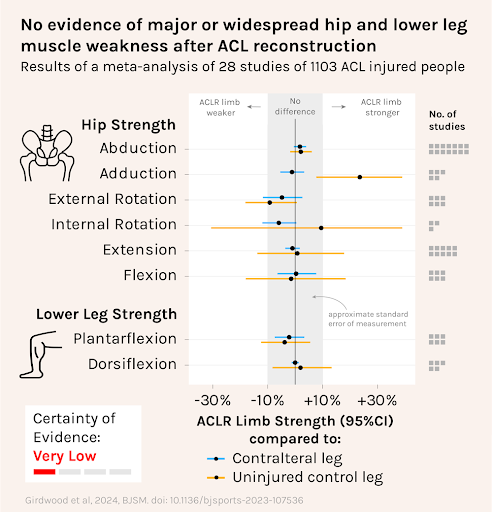 Hip and calf muscle strength after ACL injury - BJSM blog - social ...