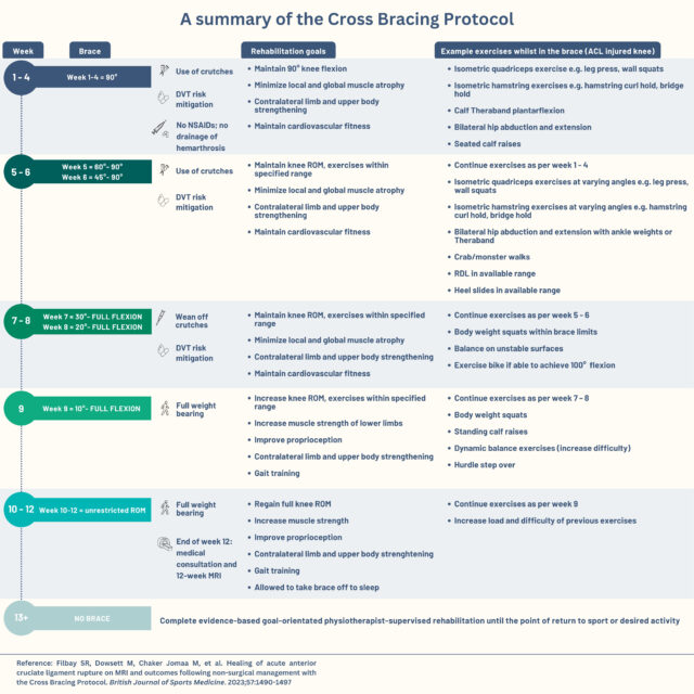 Can the novel Cross Bracing Protocol facilitate healing of ACL rupture ...