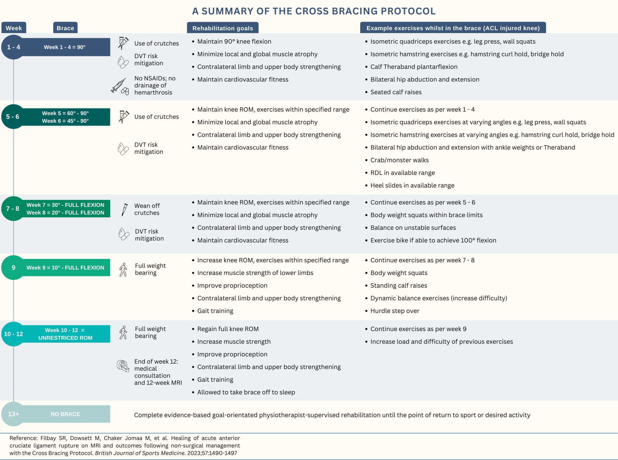Can the novel Cross Bracing Protocol facilitate healing of ACL rupture ...
