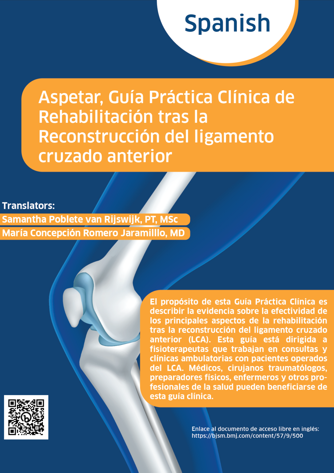 Bridging the Language Gap: Translating Clinical Practice Guidelines for ...