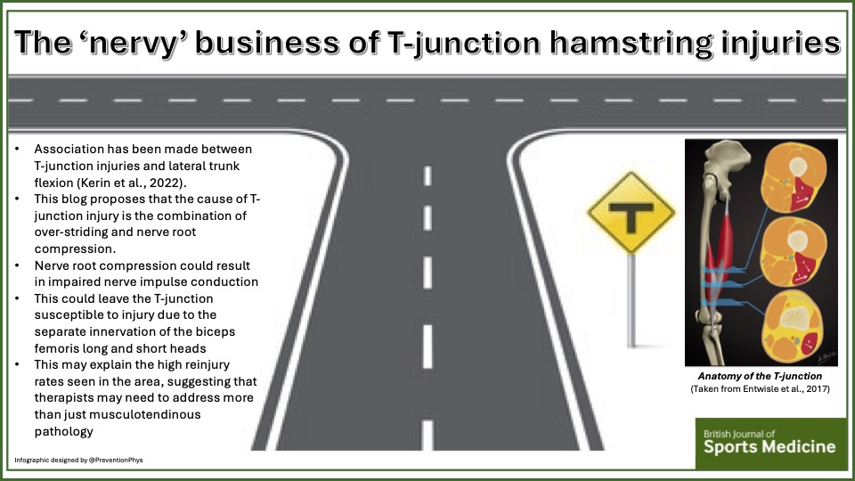 The ‘nervy’ business of T-junction hamstring injuries - BJSM blog ...
