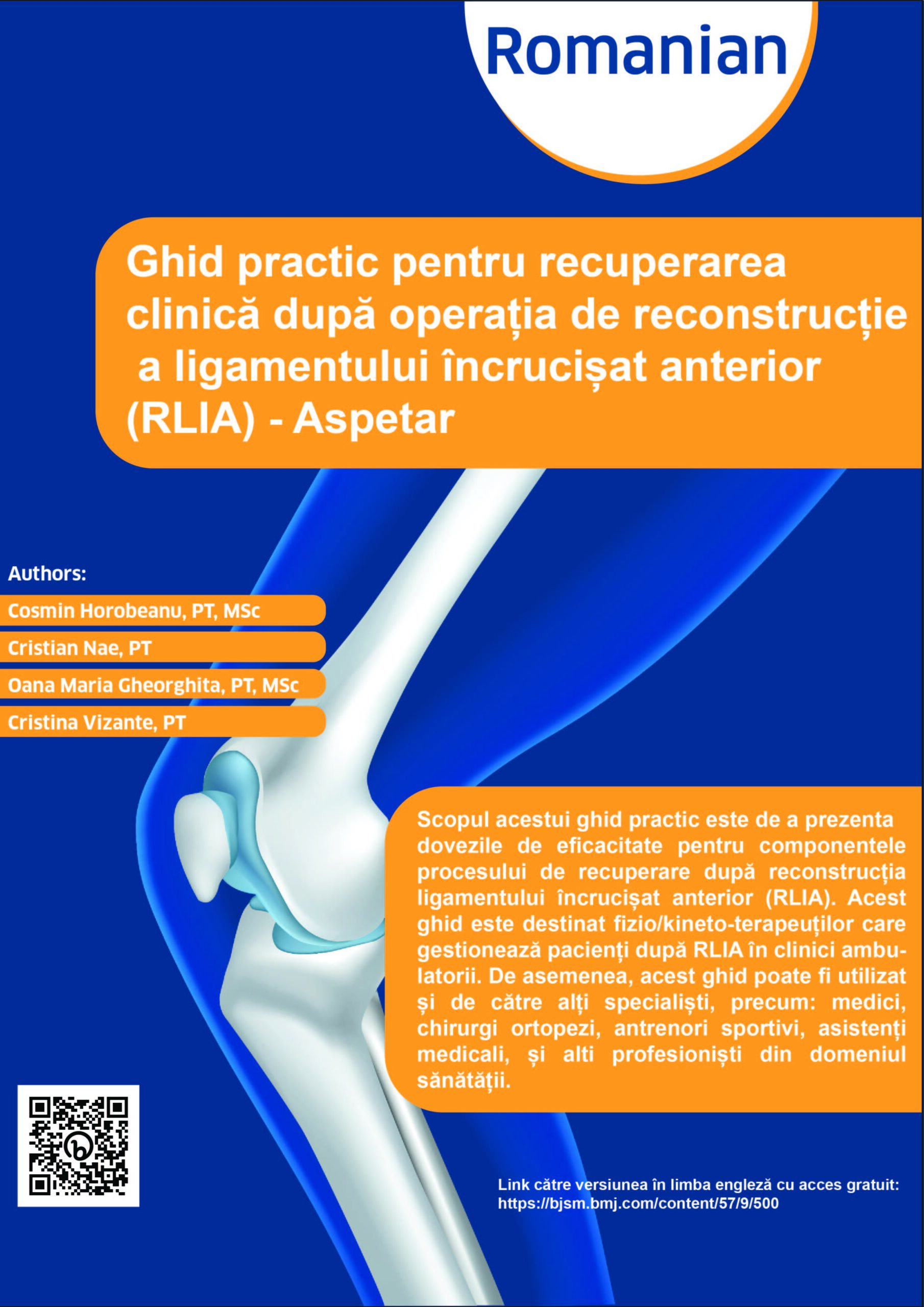 bridging-the-language-gap-translating-clinical-practice-guidelines-for