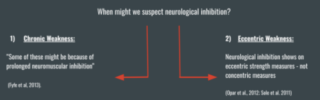 An additional response: The ‘nervy’ business of T-junction hamstring ...