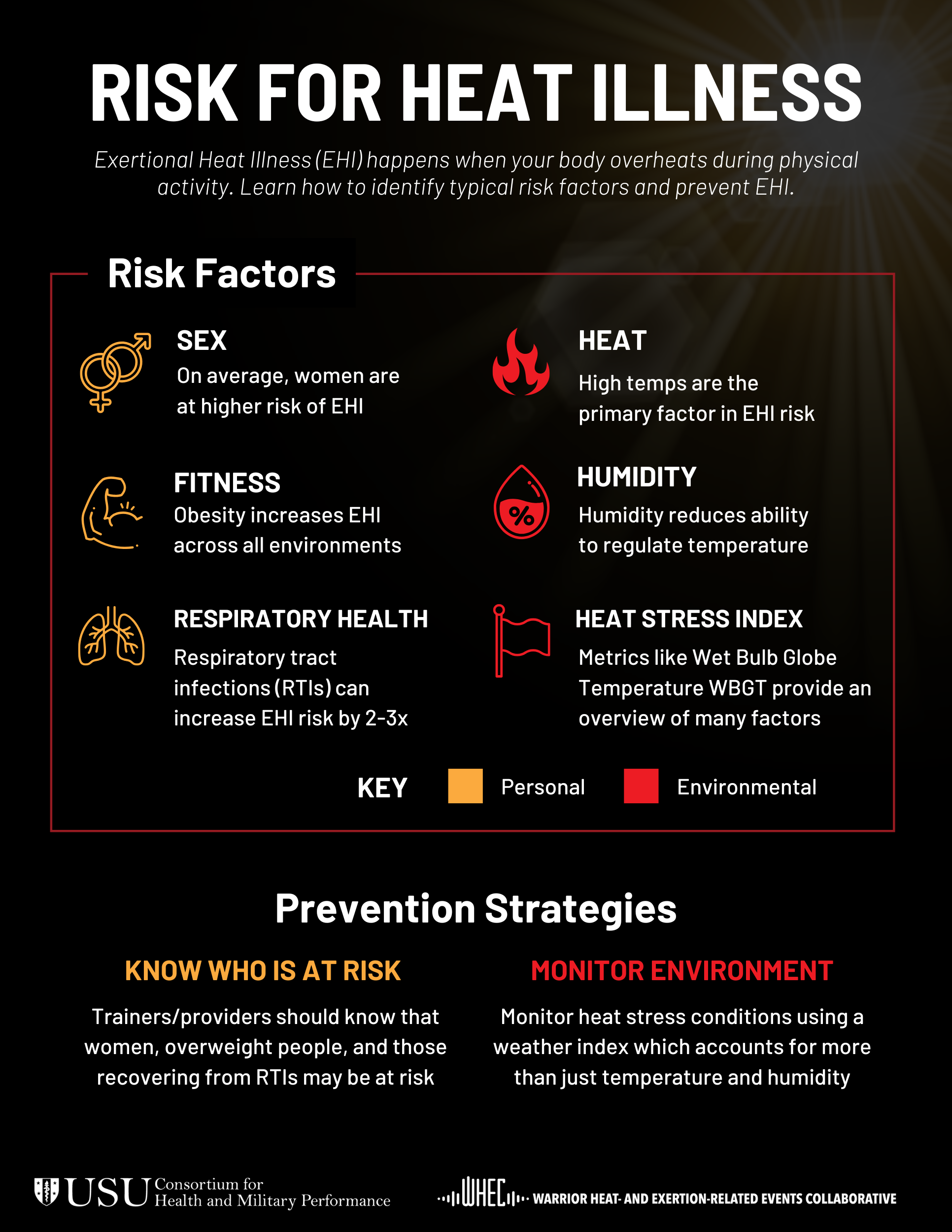 Risk for heat illness - person-factors, environment, and their ...