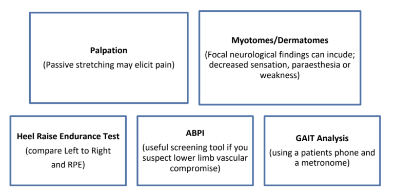 The MSK Playbook: Chronic Exertional Compartment Syndrome and ...