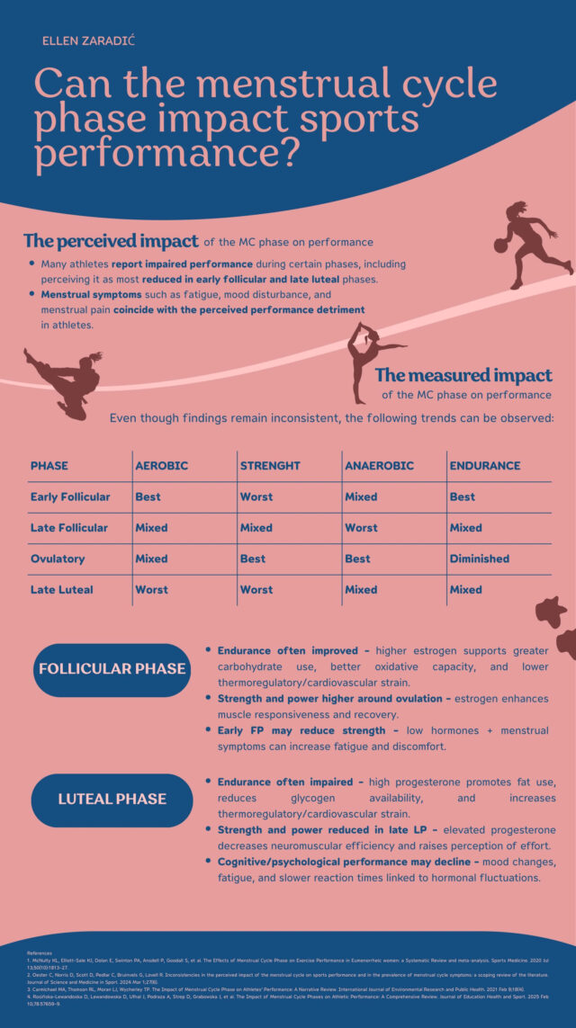 Can the Menstrual Cycle Phase Impact Sports Performance? - BJSM blog ...