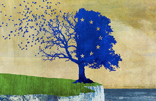 Bernard Merkel: Article 50 and the potential effects of Brexit on ...