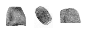 Jeffrey Aronson: When I use a word . . . Fingerprints - The BMJ