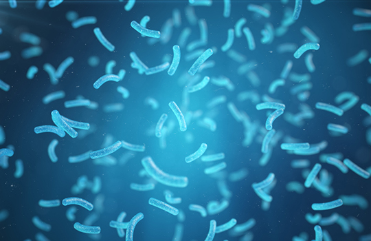 Peter Brindley: But why are we here? - The BMJ