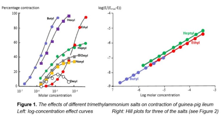 Jeffrey Aronson: When I Use a Word . . . A V Hill and concentration ...