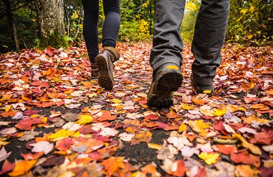 Peter Brindley: Nature—still the best life support? - The BMJ