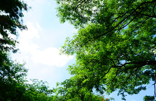 Renee N. Salas: Lessons from the covid-19 pandemic provide a blueprint ...