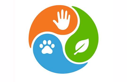 We must take a One Health approach to improve human pandemic infection ...