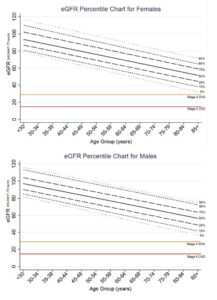Age Charts to Assess Kidney Function - BMJ EBM Spotlight