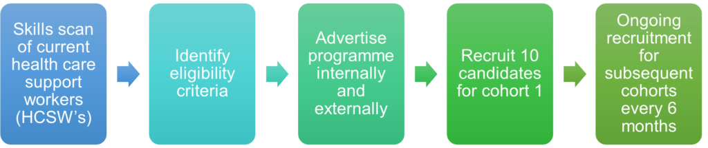 Developing the workforce through an accelerated Maternity Support ...