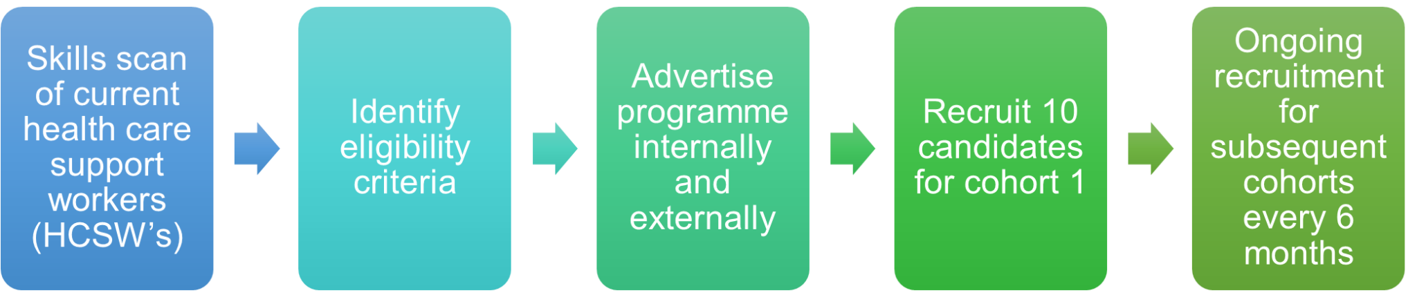 Developing the workforce through an accelerated Maternity Support ...
