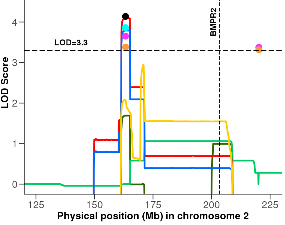 Genetic linkage analysis of a large family identifies FIGN as a ...