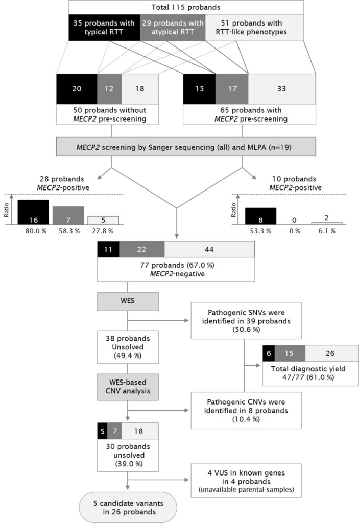 Genetic landscape of Rett syndrome-like phenotypes revealed by whole ...