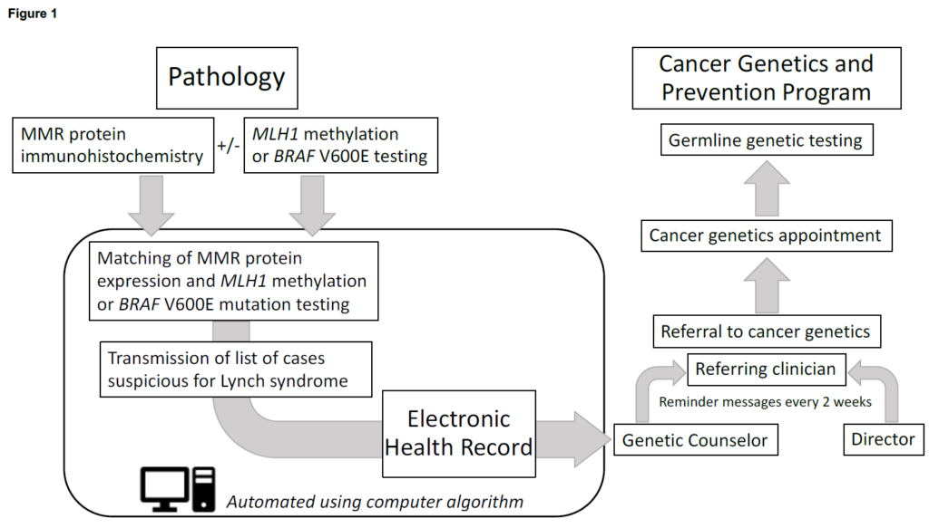 Systems approach to enhance Lynch syndrome diagnosis through tumour ...