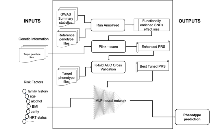 Early Breast Cancer Risk Detection A Novel Framework Leveraging