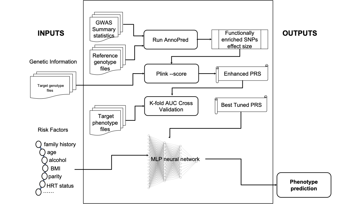 Early breast cancer risk detection: a novel framework leveraging ...