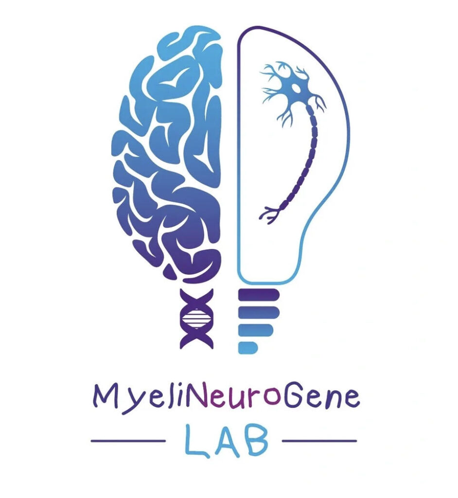 Craniofacial features of POLR3-related leukodystrophy caused by ...