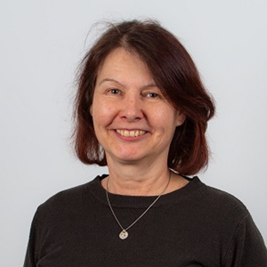 Where does palliative care fit in the national ten year healthcare plan ...